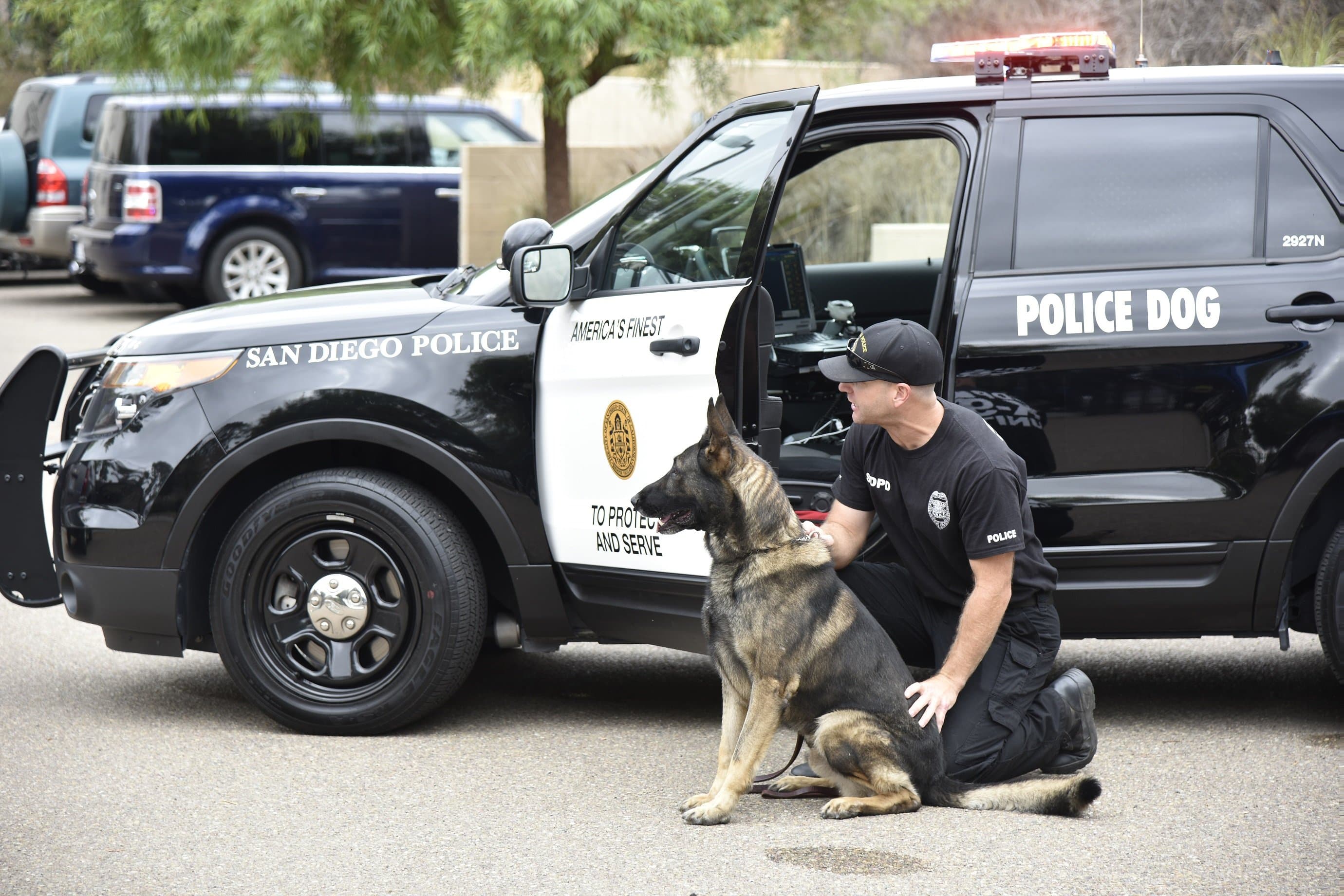 Donate to Support K9 Program